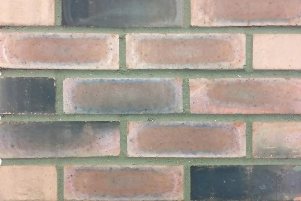 73mm Heritage Smooth Common Brick